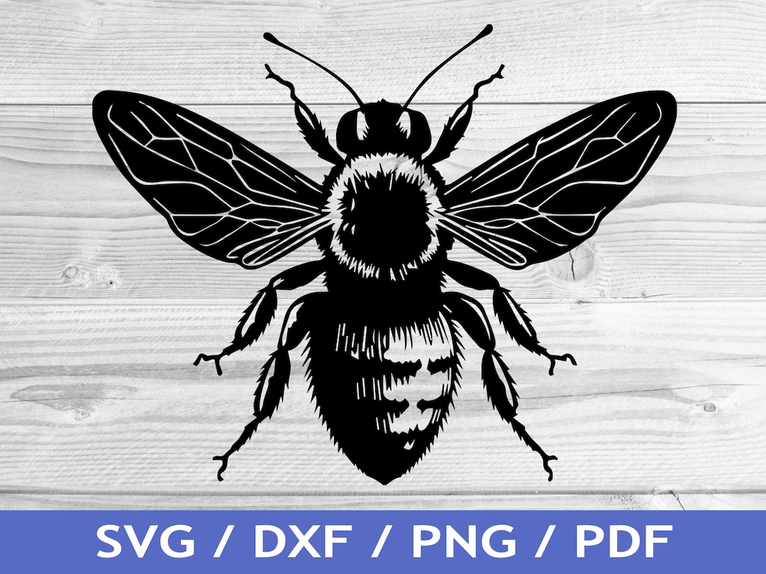 Bee SVG Cut Out / Bumble Bee Cricut Design / Bee Vector / Laser File ...