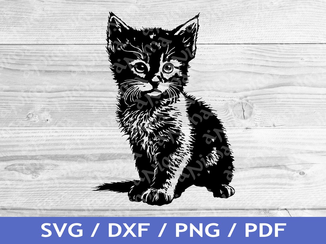 Kitten SVG Cut Out / Cute Kitten T-shirt Design / Kitty Vector / Laser ...