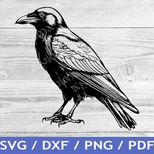 Raven SVG Cut Out / Raven Bird Cricut Design / Bird T Shirt Design ...