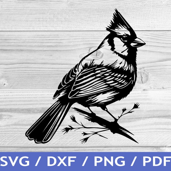 Cardinal Svg - Etsy