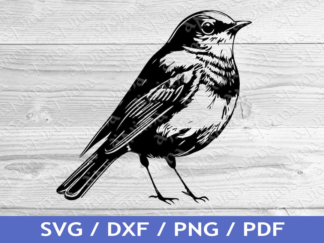Robin SVG Cut Out / Robin Vector / Bird T Shirt Design / Laser File ...