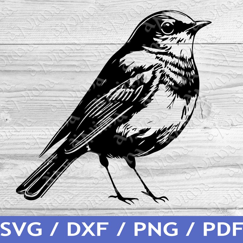 Robin Outline - Etsy UK