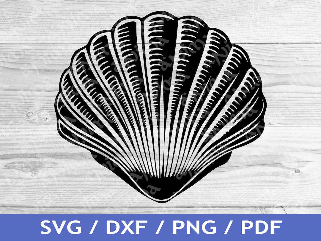 Clamshell SVG Cut Out / Clam Shell Design / Sea Shell Vector / Ocean ...