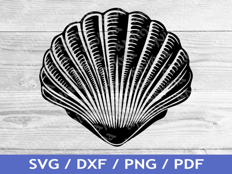 Clamshell SVG Cut Out / Clam Shell Design / Sea Shell Vector / - Etsy