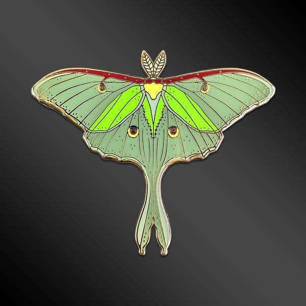 Luna Moth Pin - Etsy