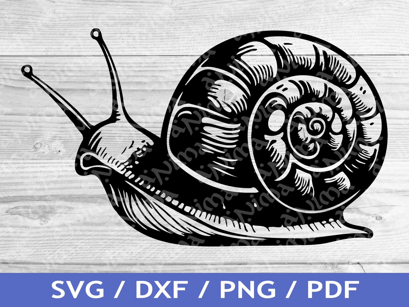 Snail SVG Cut Out / Snail Cricut Design / Snail Vector / Animal Vector ...