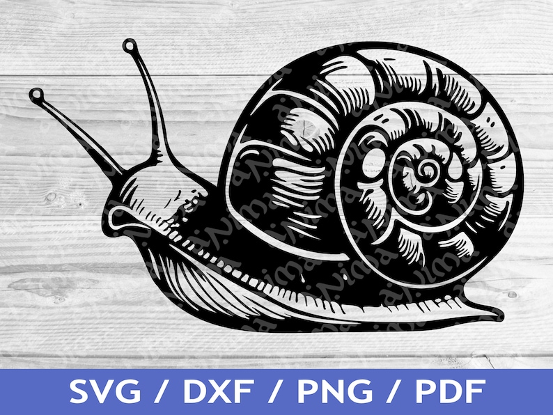 Snail SVG Cut Out / Snail Cricut Design / Snail Vector / - Etsy