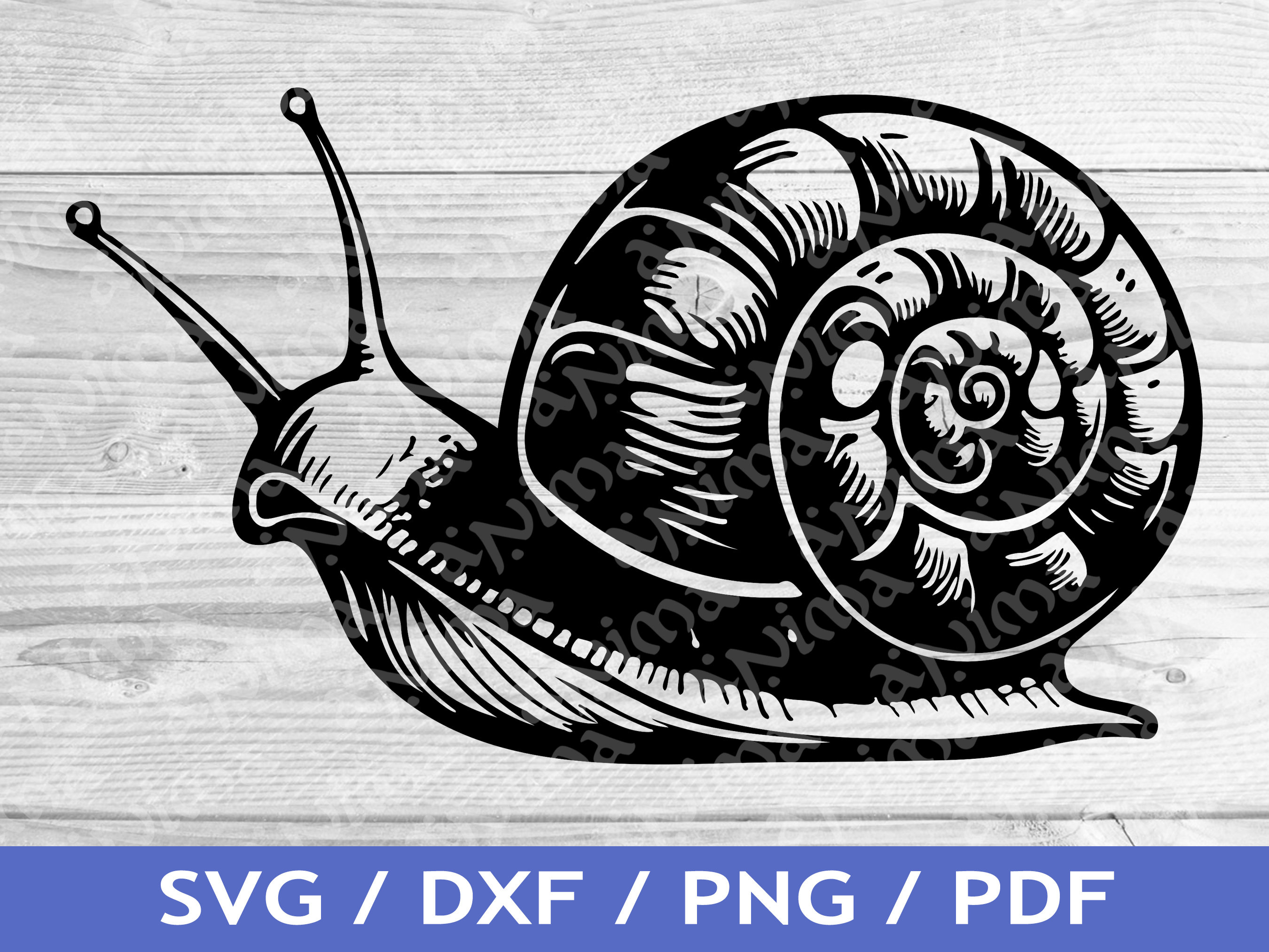 Snail SVG Cut Out / Snail Cricut Design / Snail Vector / Animal Vector ...
