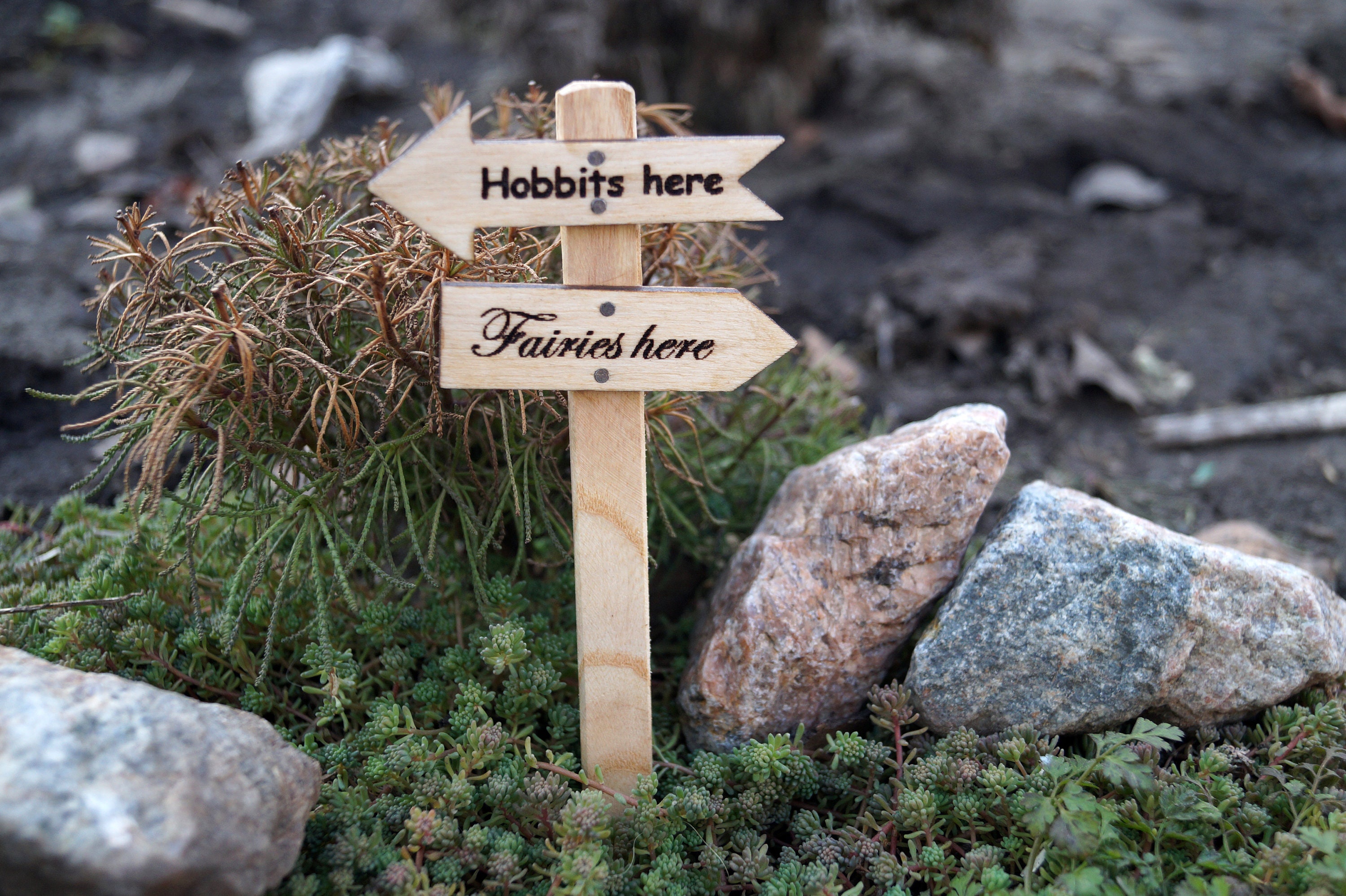 Fairy Garden Sign Fairy Garden Decor Fairy Sign Post Fairy - Etsy