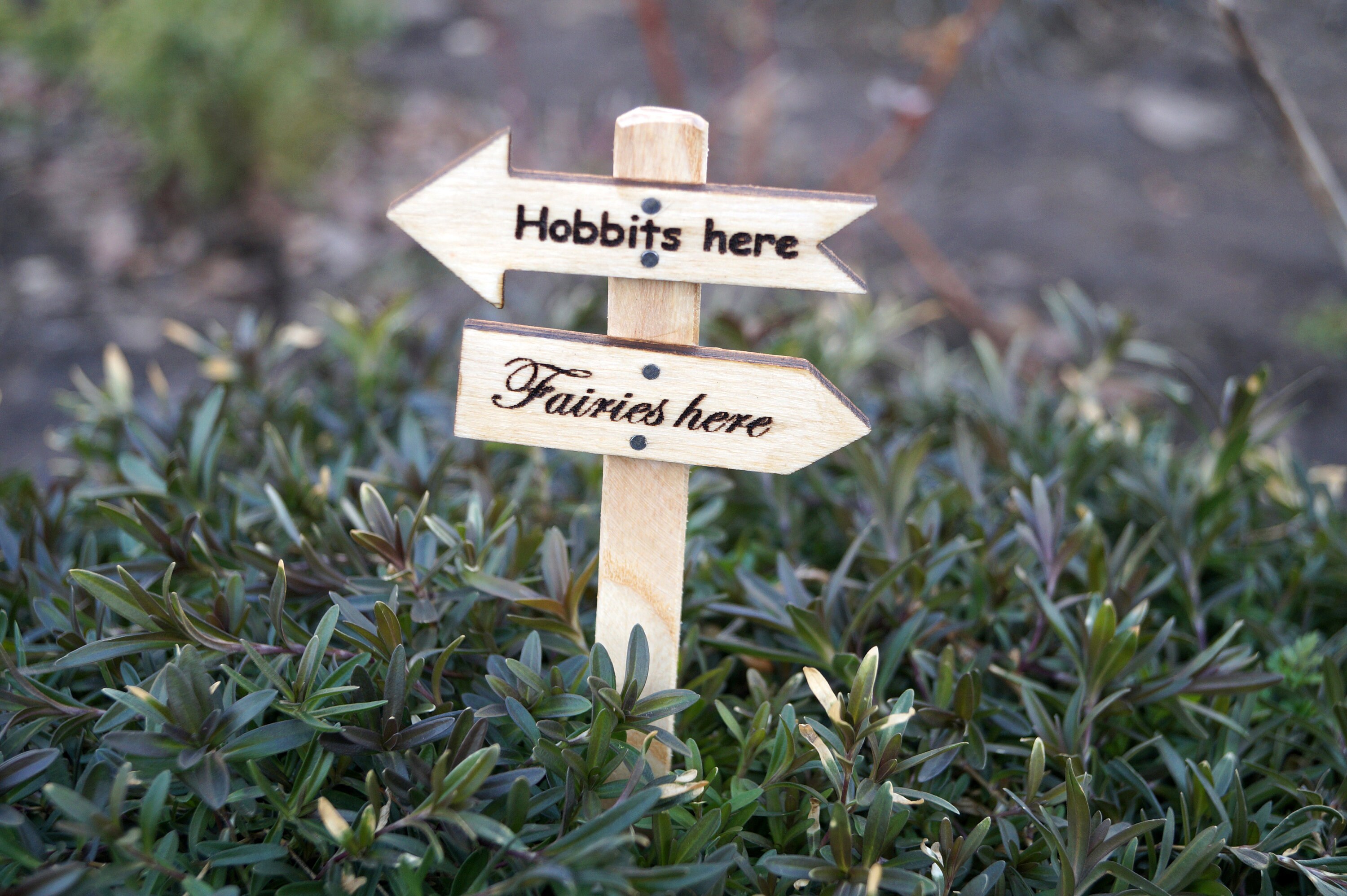 Fairy Garden Sign Fairy Garden Decor Fairy Sign Post Fairy - Etsy