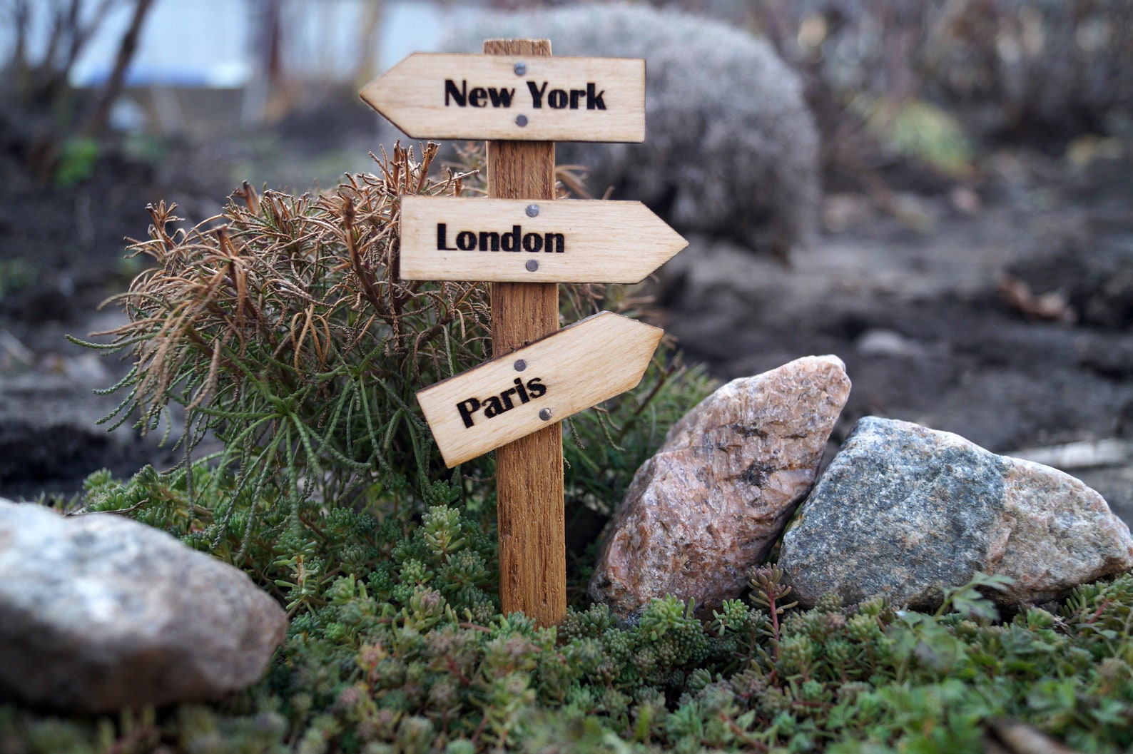 Fairy garden sign Miniature sign post Fairy garden decor | Etsy