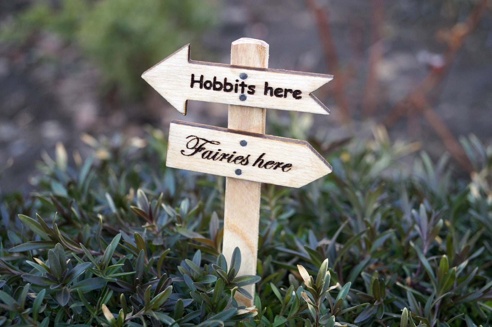 Fairy Garden Sign Fairy Garden Decor Fairy Sign Post Fairy - Etsy
