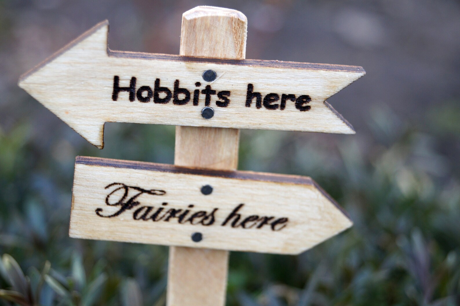 Fairy Garden Sign Fairy Garden Decor Fairy Sign Post Fairy - Etsy