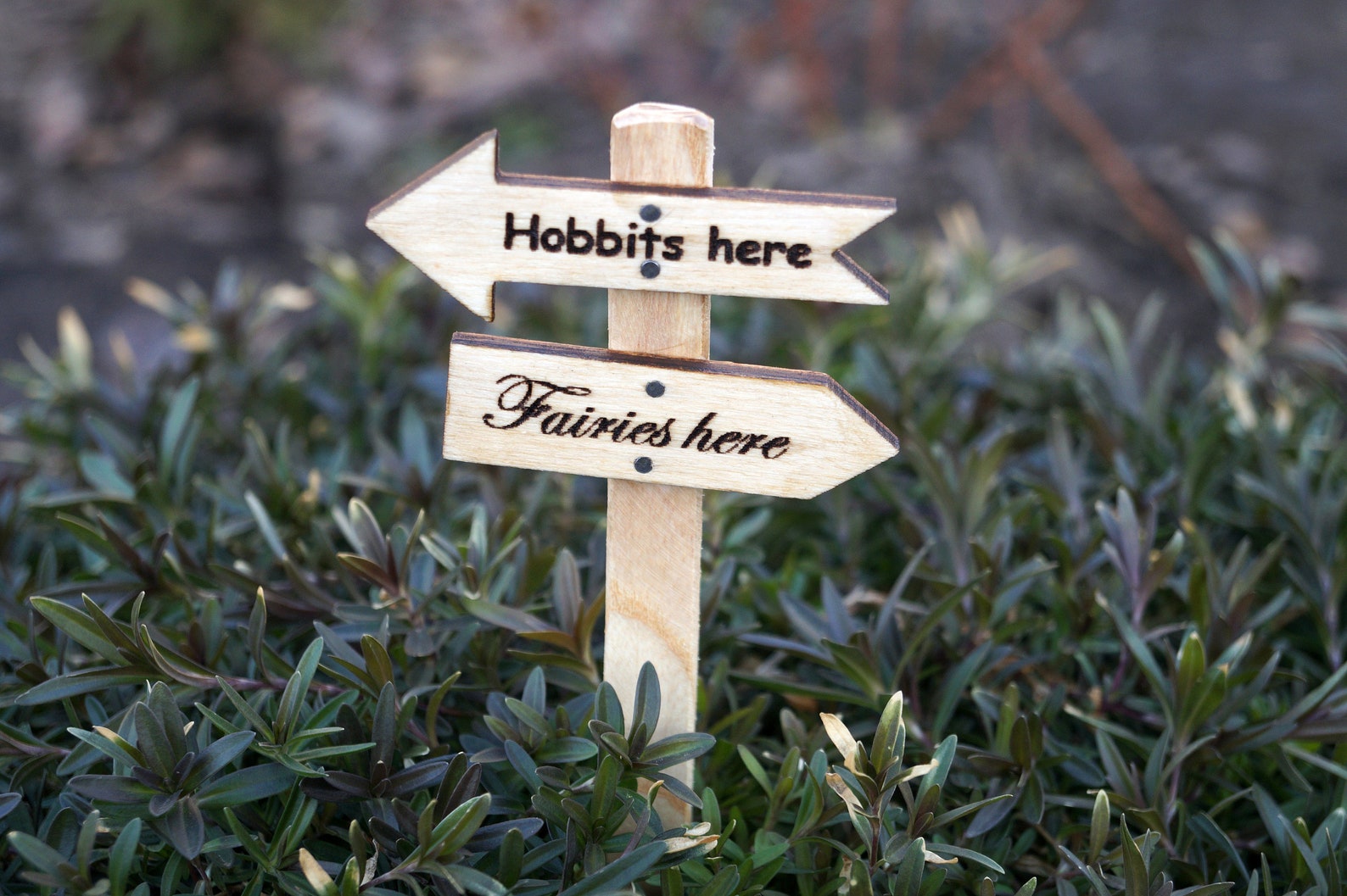 Fairy Garden Sign Fairy Garden Decor Fairy Sign Post Fairy - Etsy