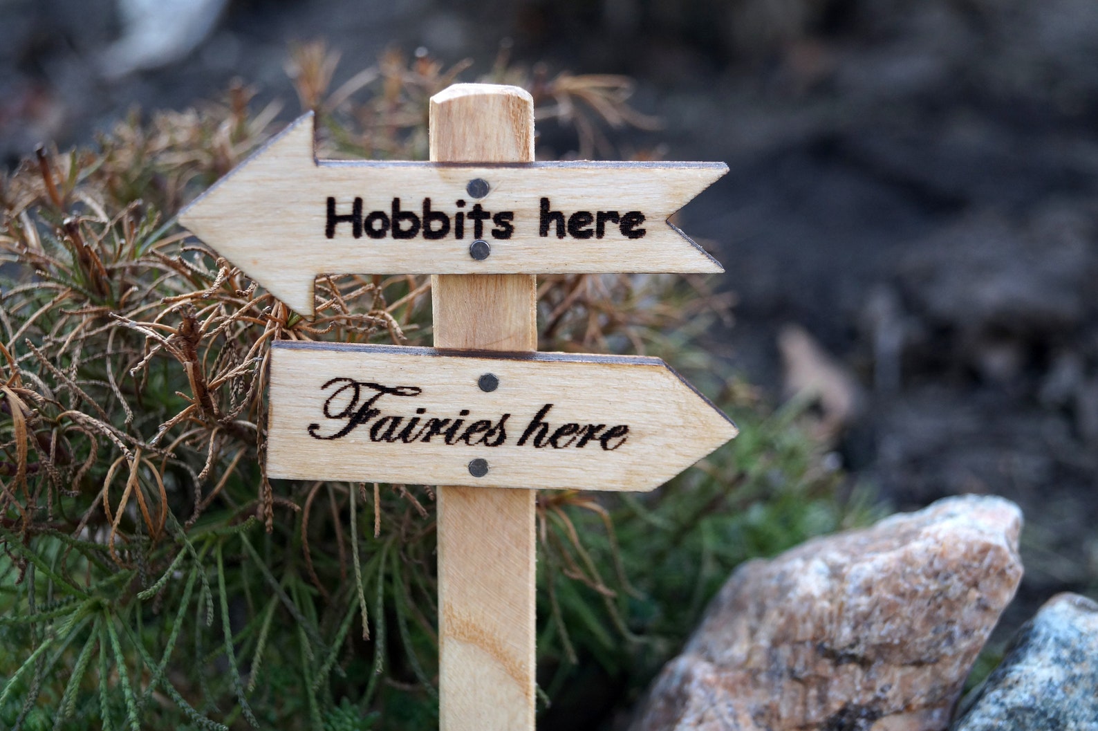 Fairy Garden Sign Fairy Garden Decor Fairy Sign Post Fairy - Etsy