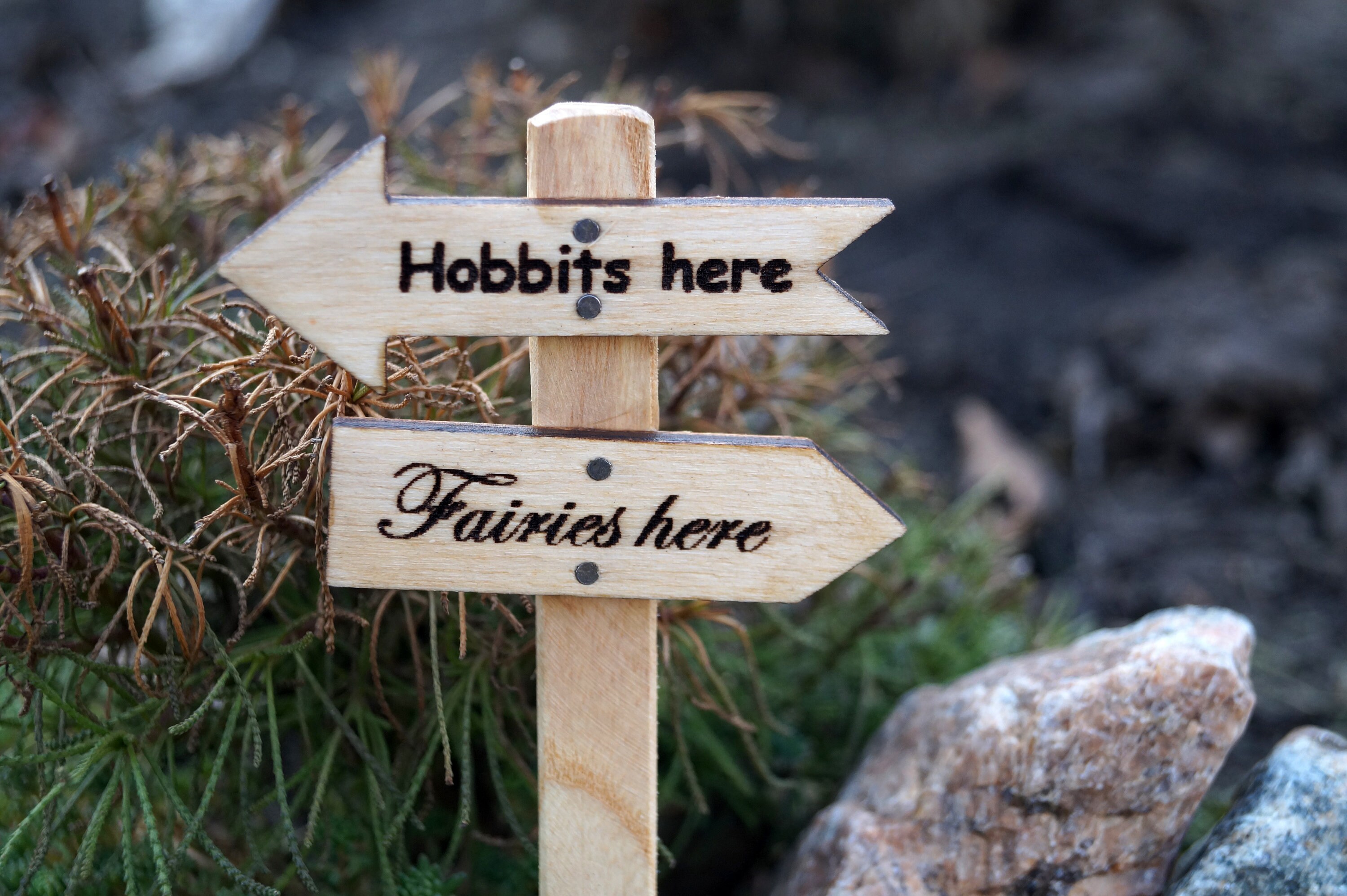 Fairy Garden Sign Fairy Garden Decor Fairy Sign Post Fairy - Etsy