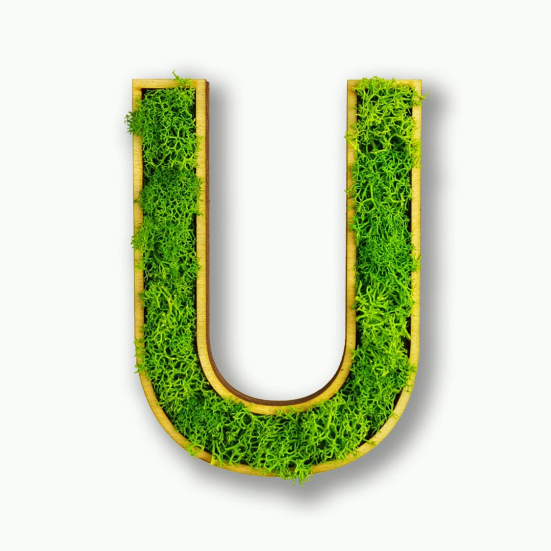 Moosly® Moss Picture - U - Letter Made of Preserved Iceland Moss With ...