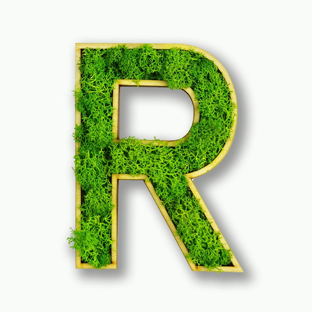 Moosly® Moss Picture R Letter Made of Preserved Iceland Moss With Frame ...