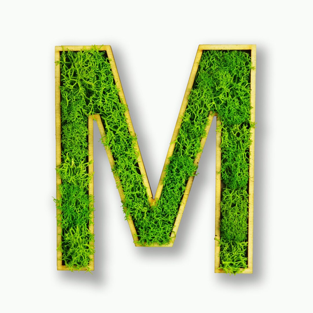Moosly® Moosbild - M - Buchstabe aus konserviertes Islandmoos mit ...