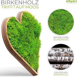 Moosly® Moosbild - I - Buchstabe aus konserviertes Islandmoos mit ...