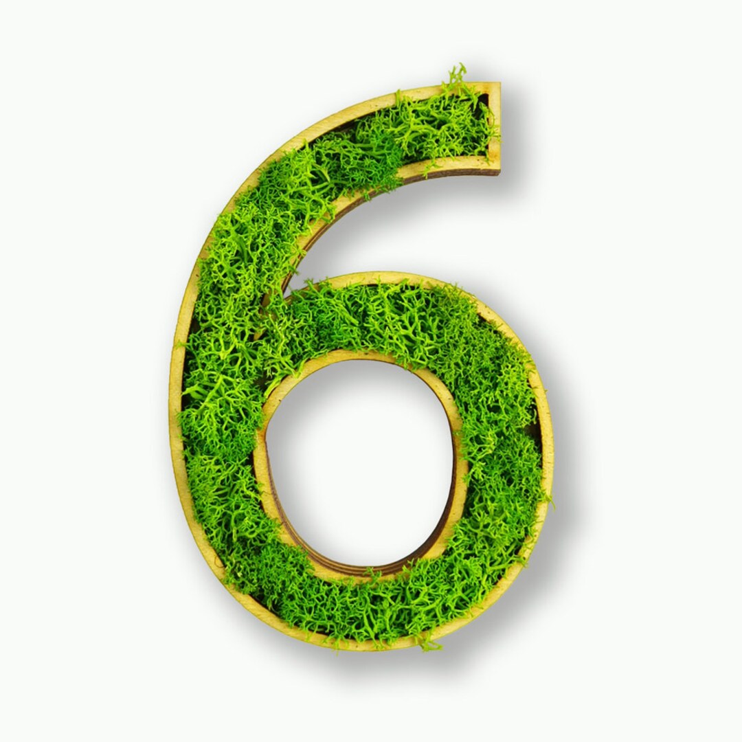 Moosly® Moss Number - 6 - Wooden Wall Decoration Made of Real Iceland ...