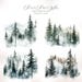 Foggy Pine Forest Watercolor Clipart: PNG Illustrations (digital ...