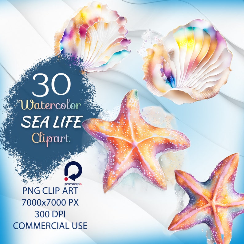 Sea Life Clipart: Watercolor Ocean PNG Images (digital Download) - Etsy