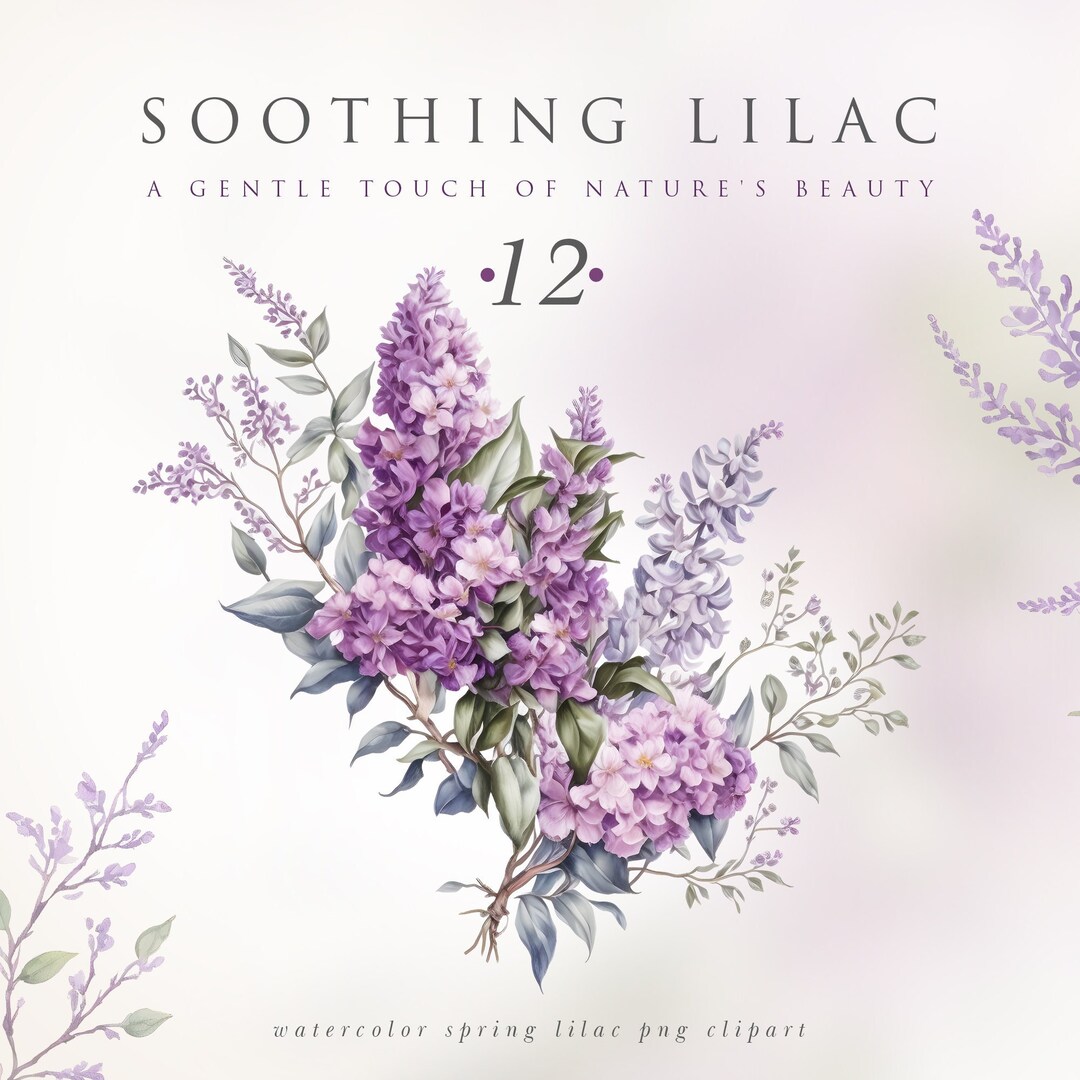 Soothing Lilac Blooms, Watercolor Lilac Clipart, Digital Floral ...