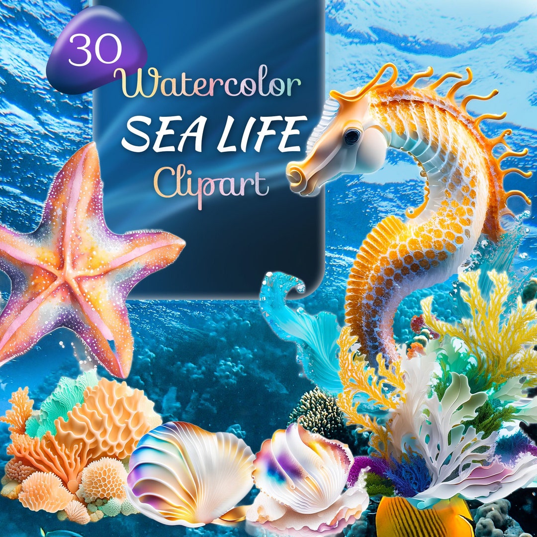 Sea Life Clipart: Watercolor Ocean PNG Images (digital Download) - Etsy