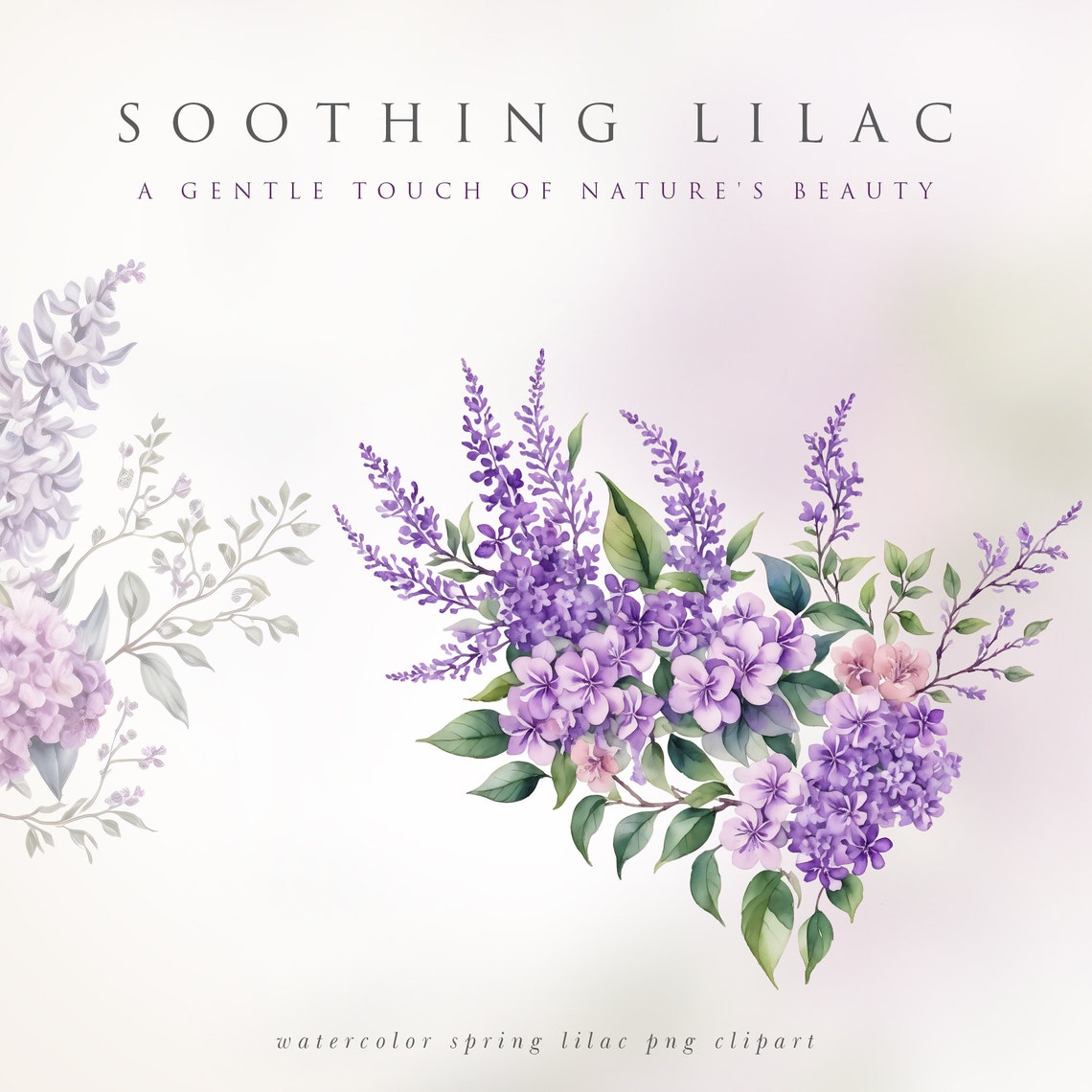 Soothing Lilac Blooms, Watercolor Lilac Clipart, Digital Floral Elements Wedding Clipart, Lilac ...
