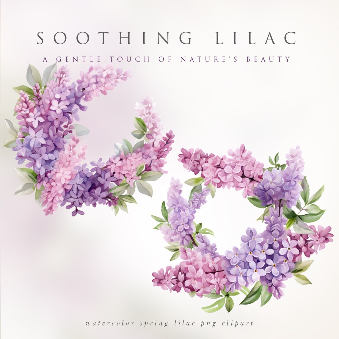 Soothing Lilac Blooms, Watercolor Lilac Clipart, Digital Floral ...