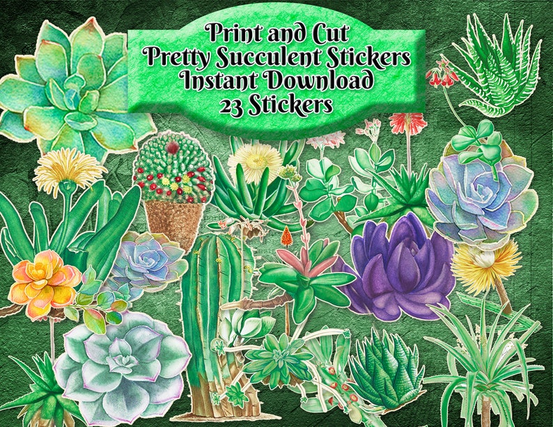 23 Printable Succulent Images | Digital Collage Sheets | Instant ...