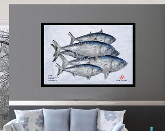 Bonito Fish Art - Etsy