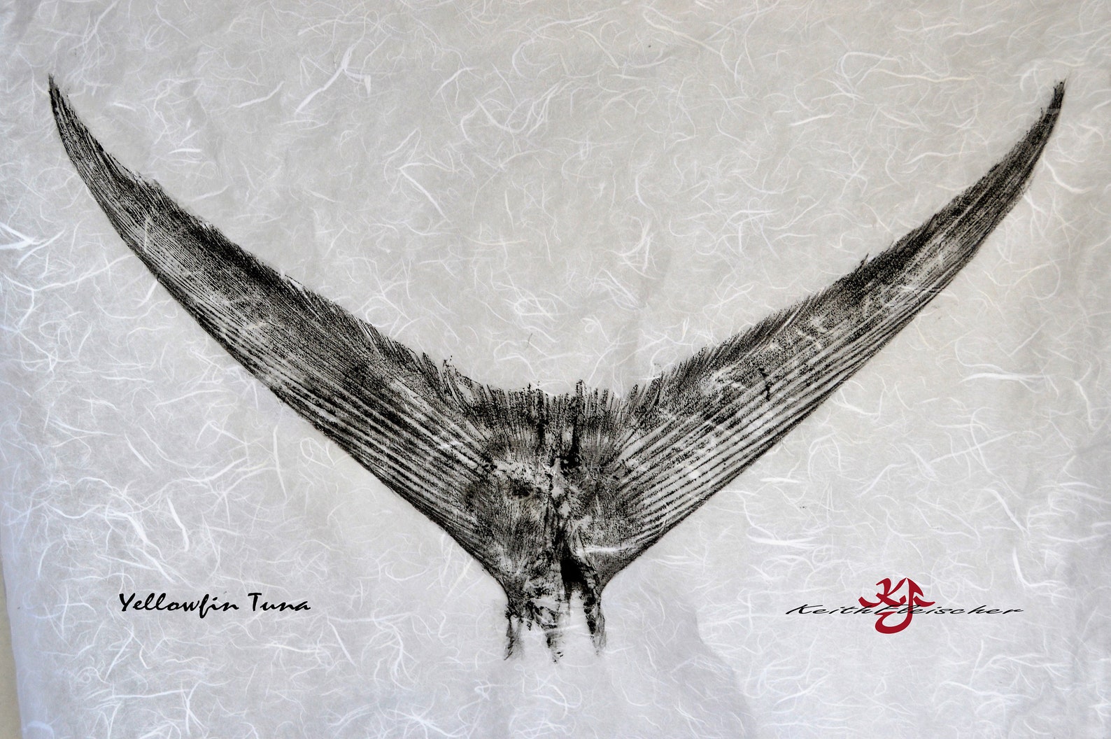 Yellowfin Tuna Tail Print Gyotaku Flat Fish Mount | Etsy