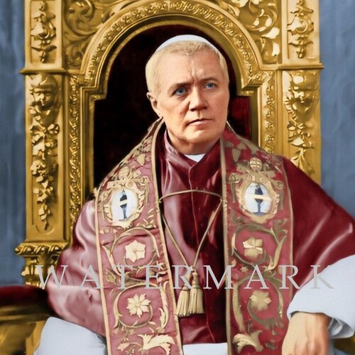 Custom Colorized Digital Photo Painting of Pope St. Pius X - Etsy