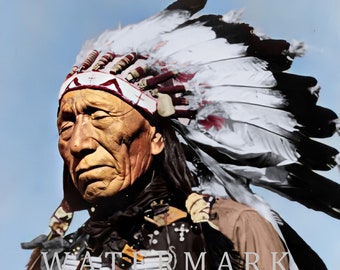 Sr. Thea Bowman Servant of God Catholic Fine Art Print - Etsy