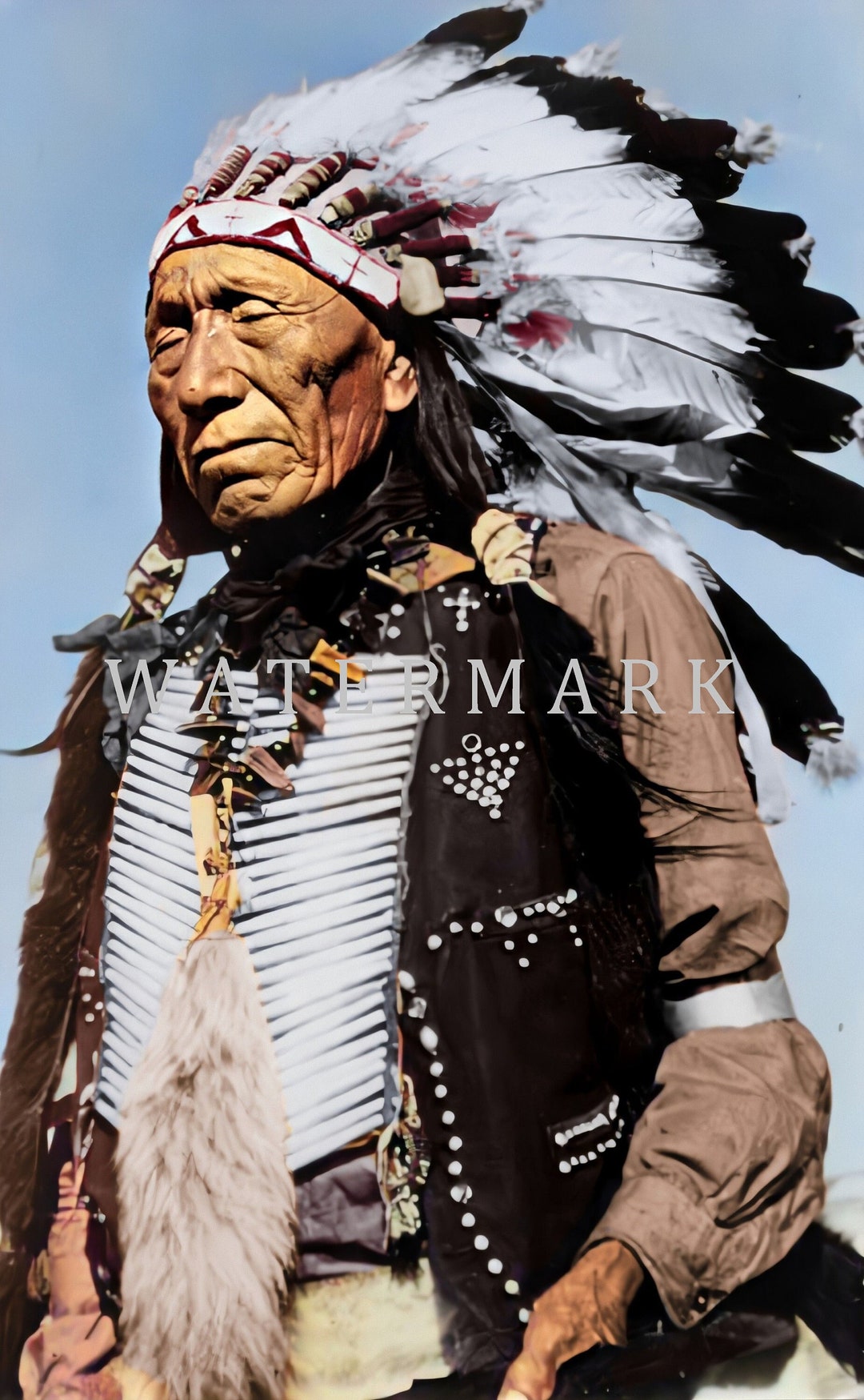 Servant of God Nicholas Black Elk DIGITAL DOWNLOAD Custom Colorized ...