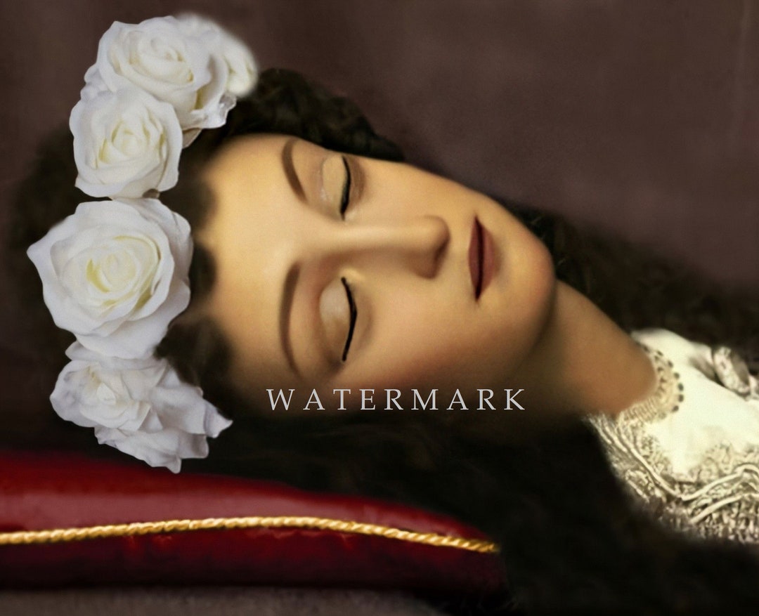 The Death of St. Philomena Custom DIGITAL DOWNLOAD Digital Oil Painting ...