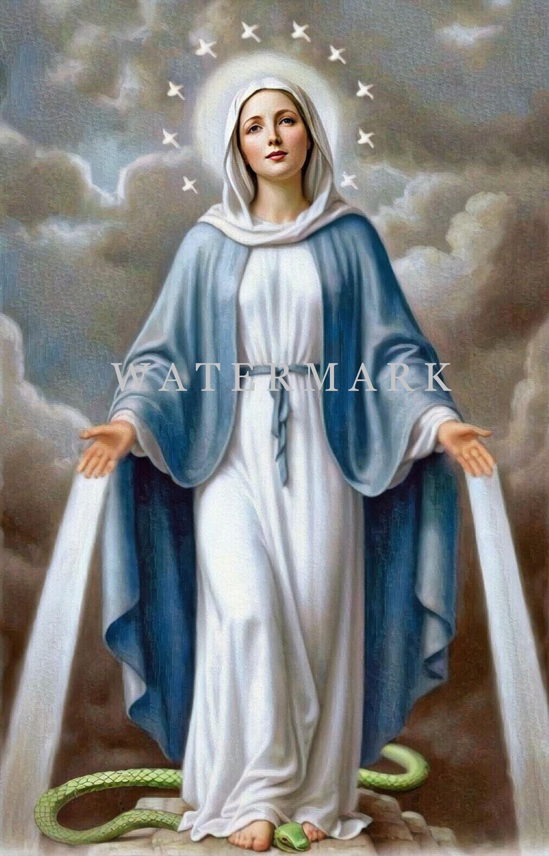Our Lady of Grace - the Most Blessed Virgin Mary Custom Digital Oil ...