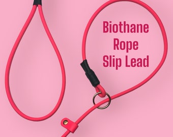 Biothane Rope Slip Lead - Etsy