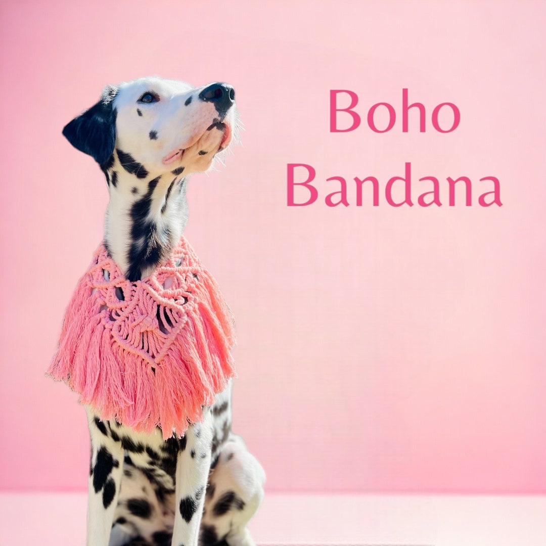 Boho Bandana Macrame Bandana, Dog Bandana, Boho, - Etsy