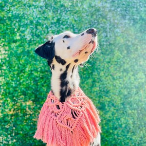 Macrame Bandana Dog Bandana Boho - Etsy