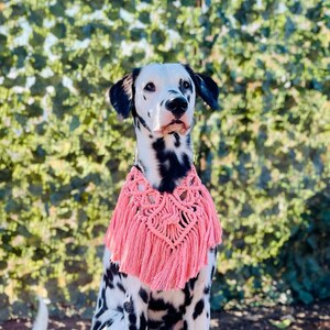 Macrame Bandana Dog Bandana Boho - Etsy