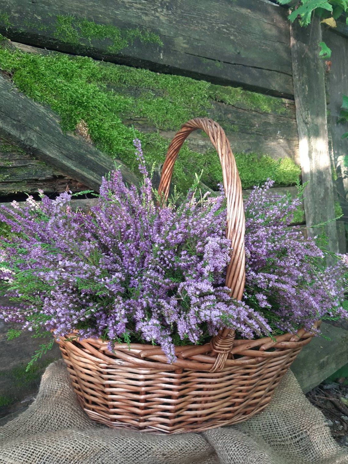 Dried Heather Flowers Bouquet Wedding Bouquet Forest Flowers - Etsy