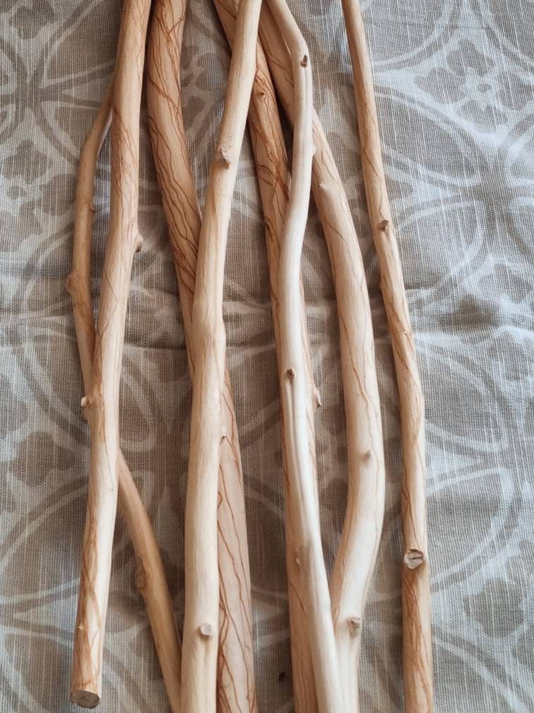 Real Peeled Rowan Wands or With Bark Rowan Branches Supplies - Etsy