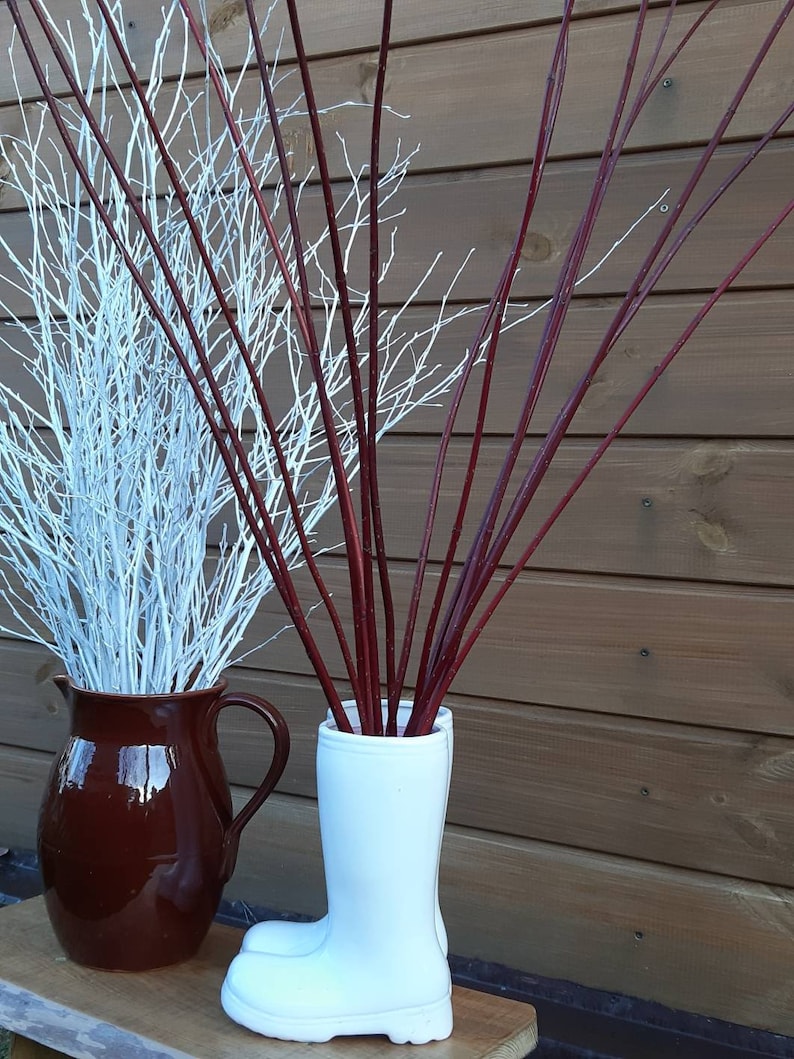 Large Red Dogwood Branches Red Twigs White Birch Twigs Bundle Rustic ...