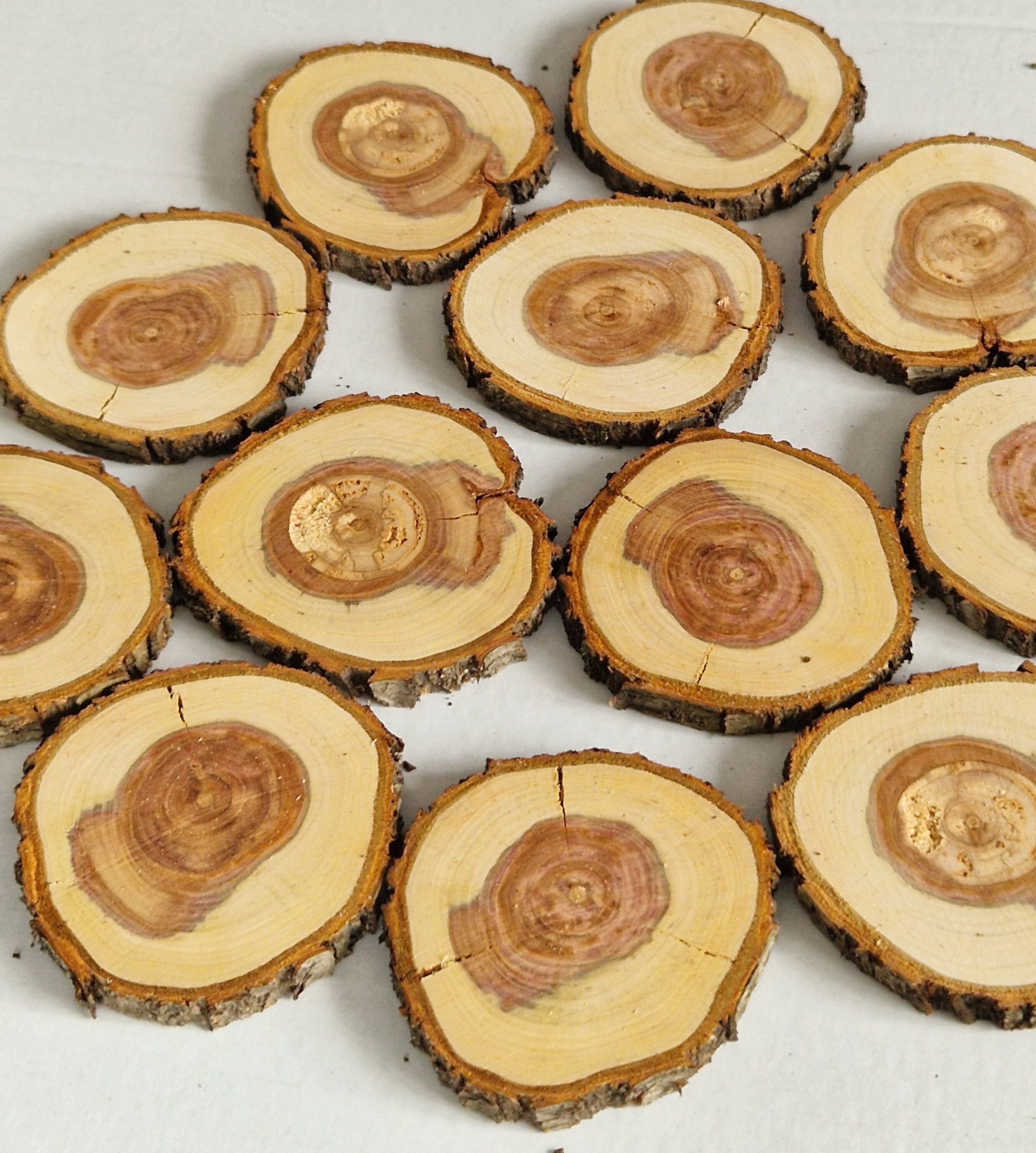 Set of 10 Wooden Slices Plum Tree Slices Wooden Discs Raw Material for ...