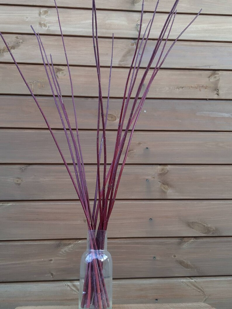Large Red Dogwood Branches Red Twigs White Birch Twigs Bundle Rustic ...