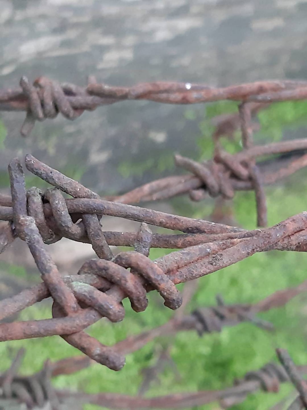 3.m.antique Barbed Rusty Metal Wire Rustic Home Decor Craft Material ...