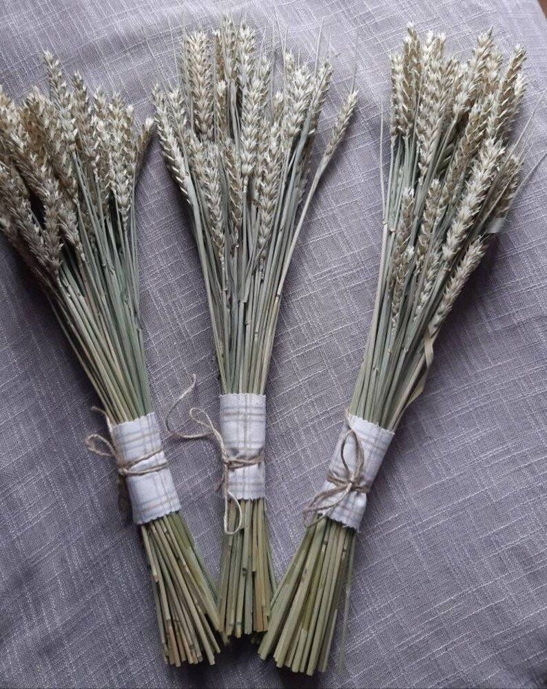 Real Wheat Bouquet Wheat Bunch Natural Wheat Bundle Rustic - Etsy